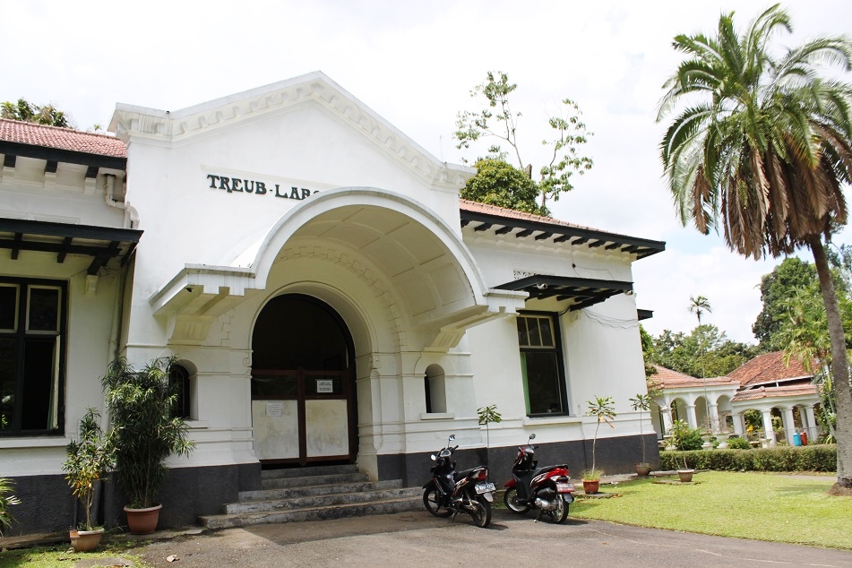 Bogor at A Glance | What an Amazing World!