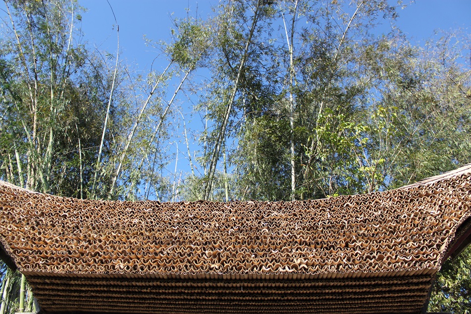 to14 | What an Amazing World!