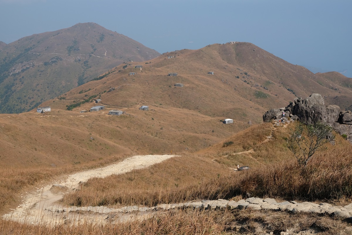 lt11 | What an Amazing World!