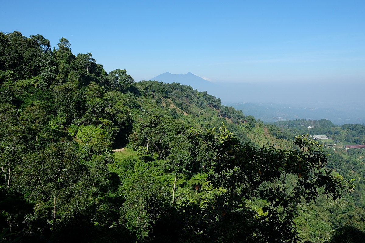 cs05 | What an Amazing World!