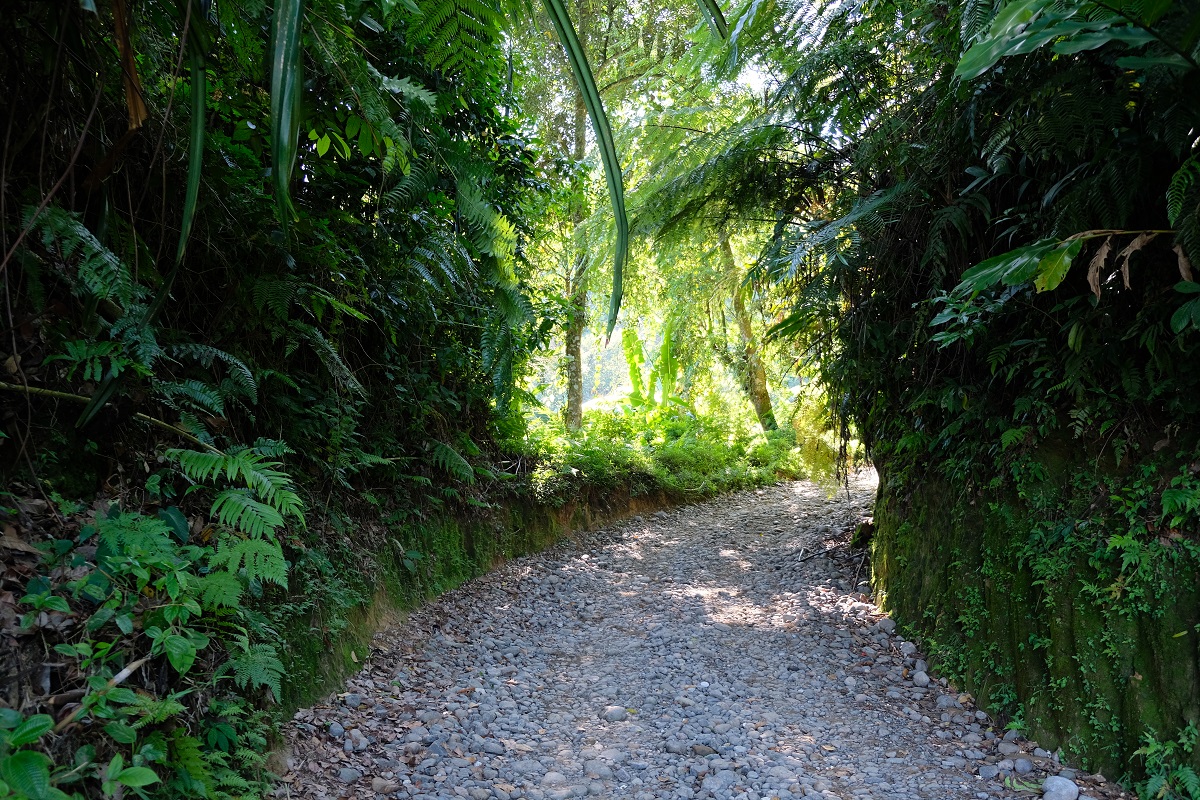 cs08 | What an Amazing World!