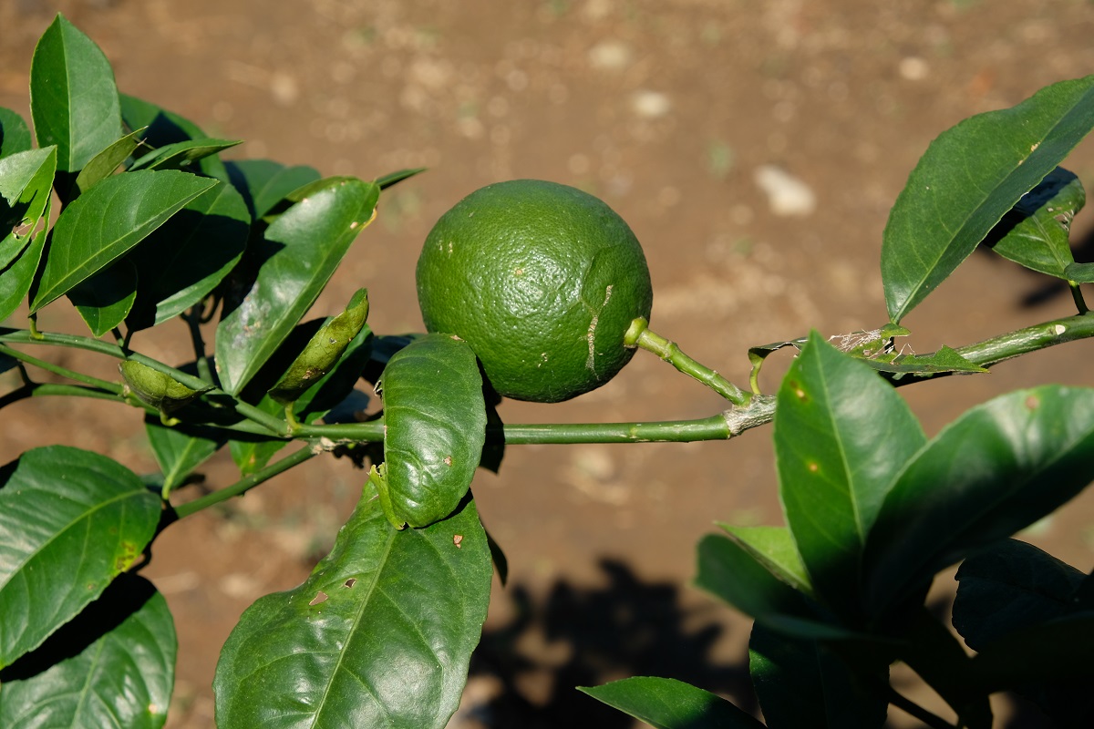 cs17 | What an Amazing World!