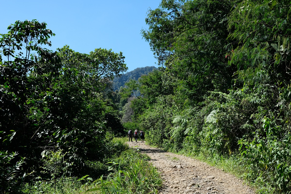 cs22 | What an Amazing World!