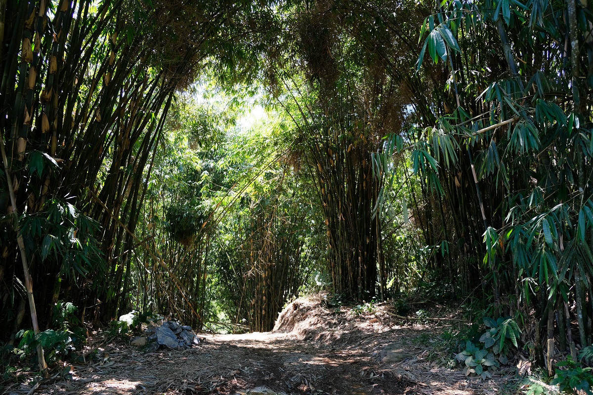 cs29 | What an Amazing World!