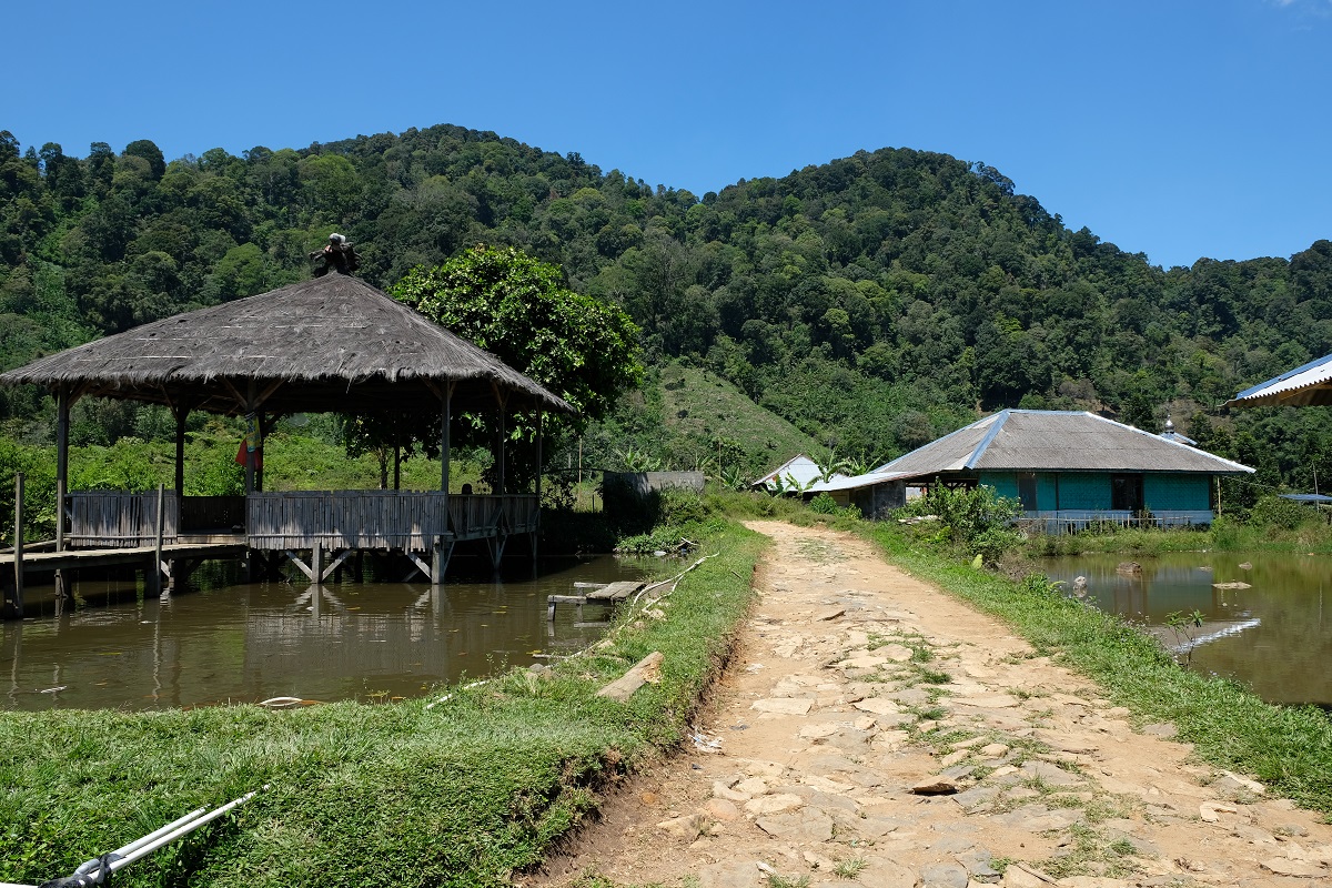 cs37 | What an Amazing World!