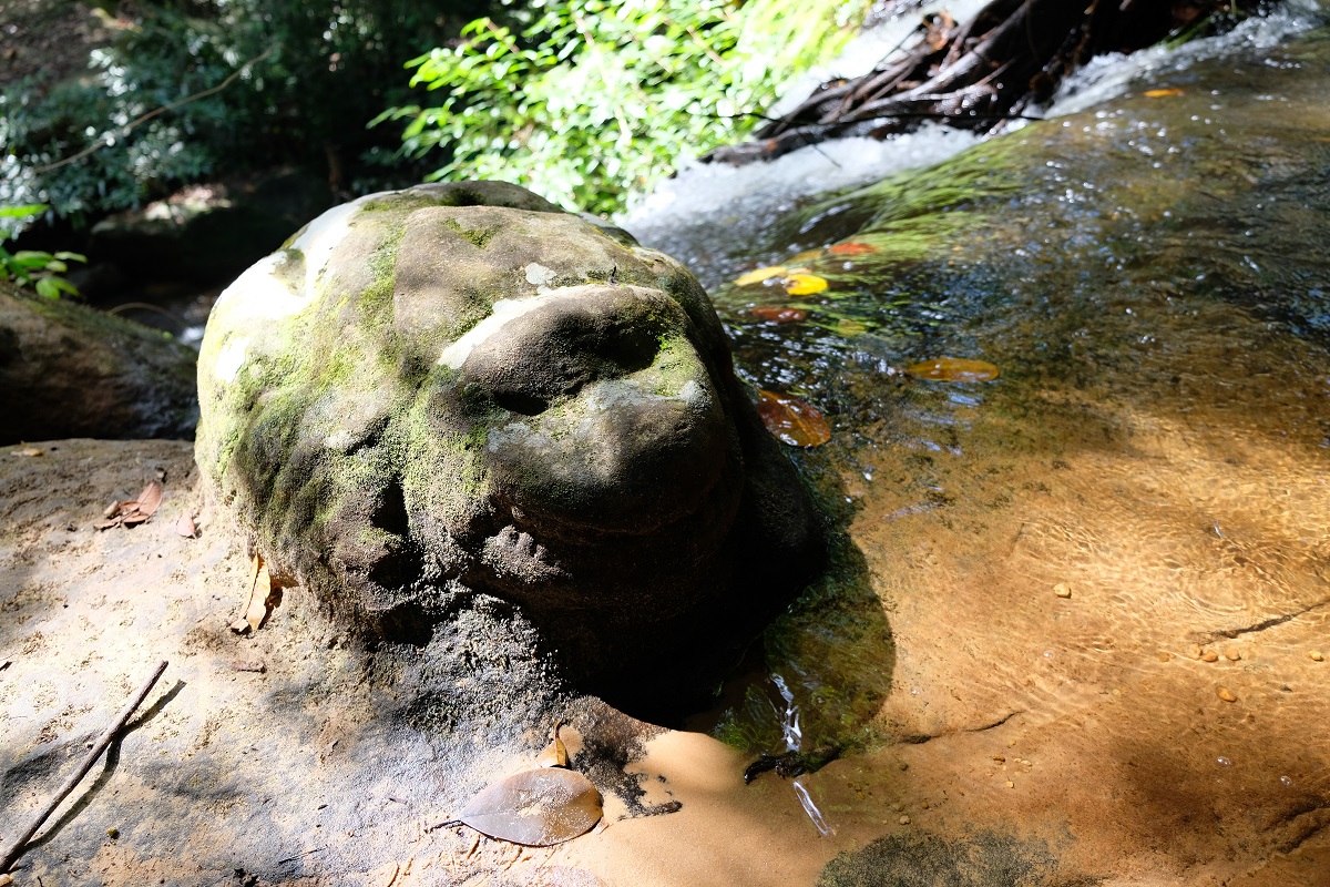 ks20 | What an Amazing World!