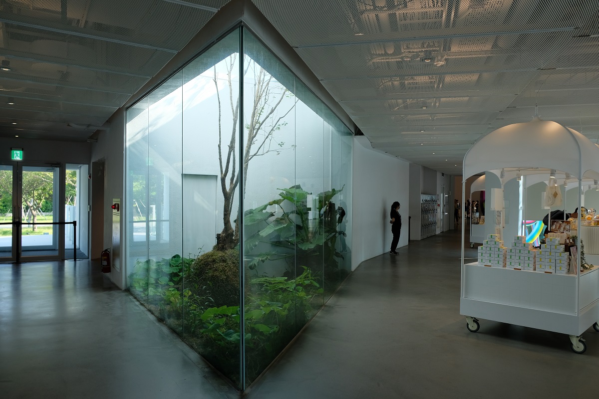 km24 | What an Amazing World!